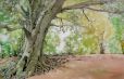 Stuart Fisher Watercolours – Stuart Fisher Watercolours